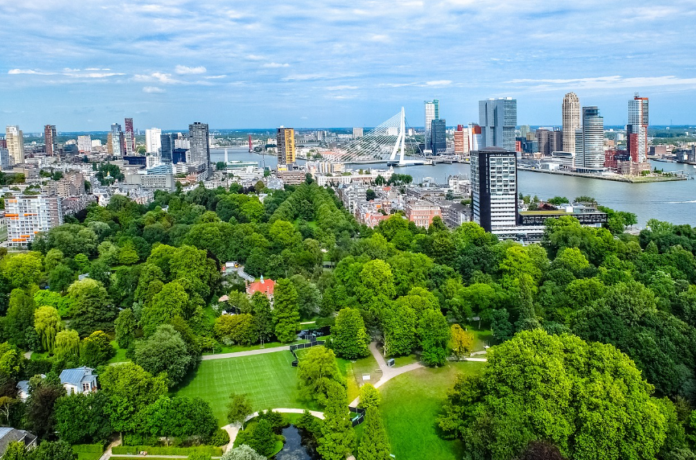 Vernielingen bij Rotterdamse moskee: andere reactie dan na aanslag op ...